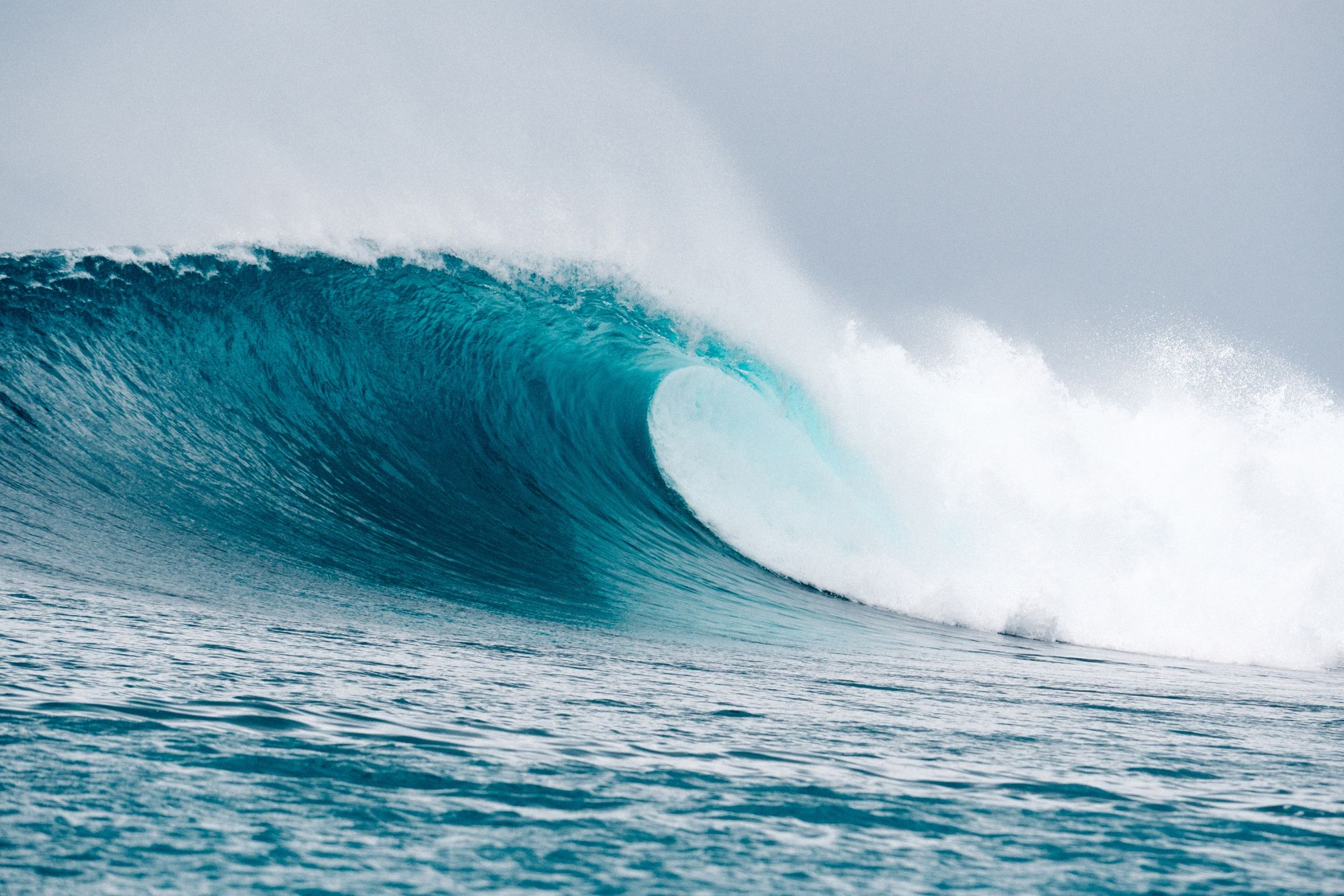 HT's and Lances Left Surf Report August 2018